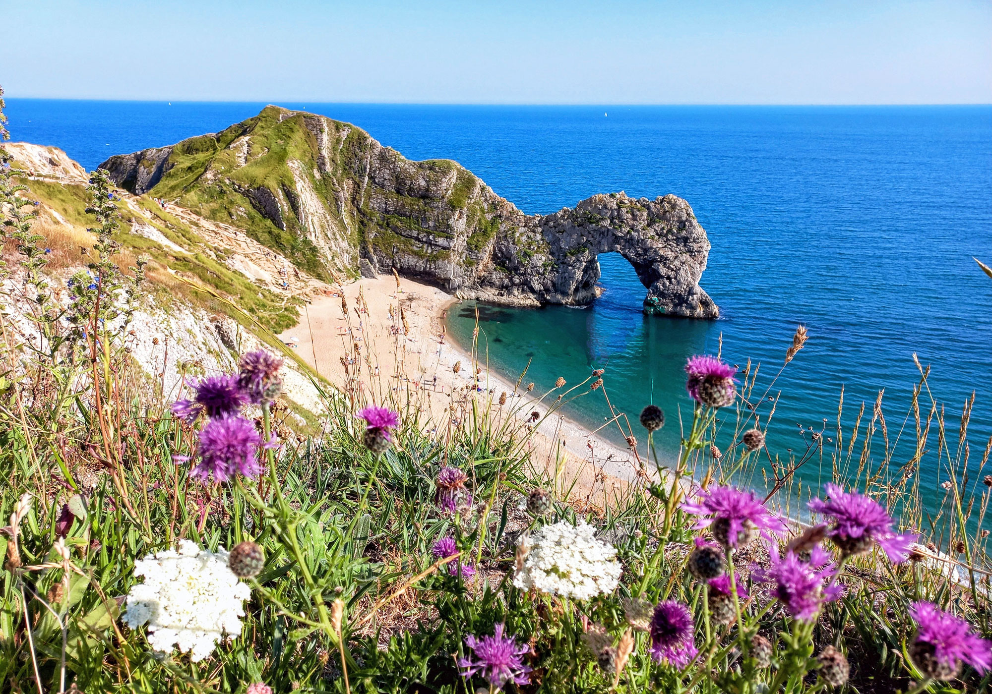 Durdle Door in the Spring | The Dorset Guide